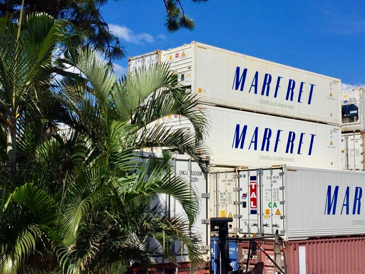 Rise in reefer volumes from Latin and Central America | Marfret