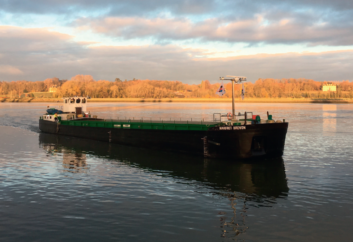 FFA: Timber is going green | Marfret